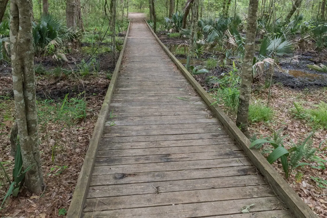 New Bern, NC Photo Tours and Travel Information